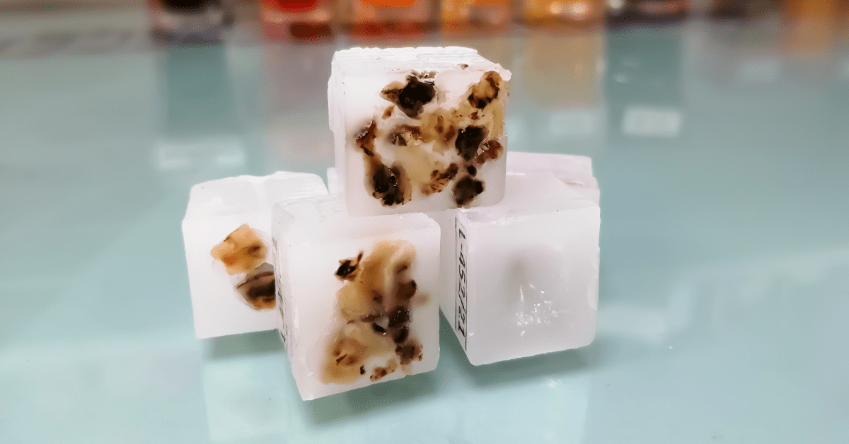 Paraffin Block Disposal: Adhering to Medical Waste Protocols | Stericycle