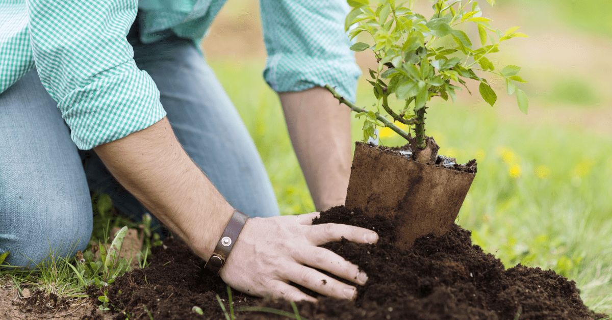 Stericycle and Arbor Day Foundation to Plant 45,000 Trees for ...