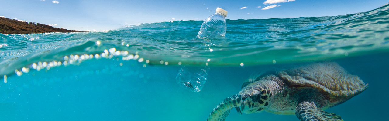 Keeping Our Oceans Clean | Stericycle